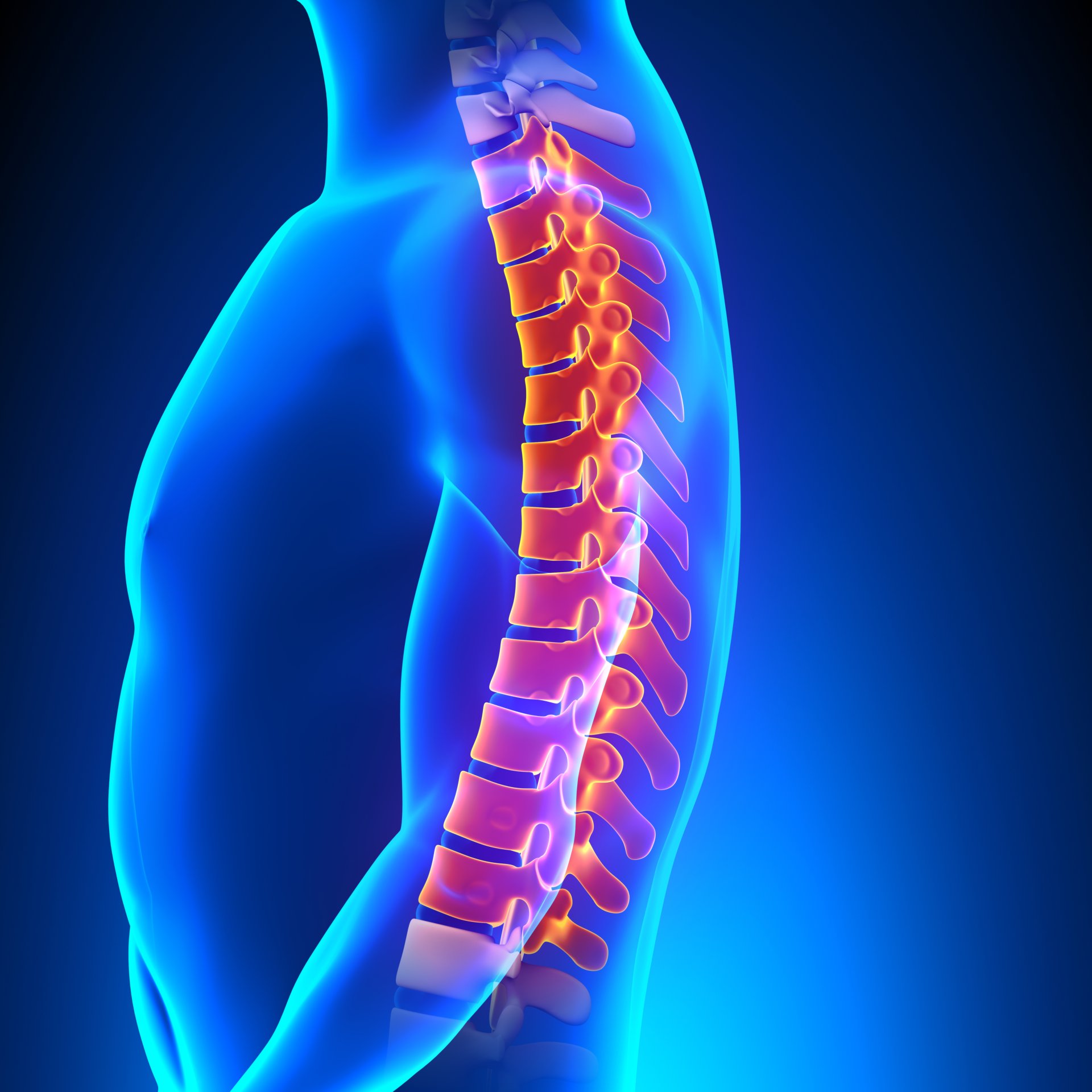 Thoracic Spine Anatomy Pain concept | Physical Healthcare of Jacksonville
